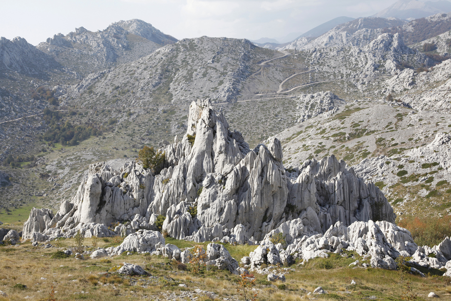 The Red West, Croatia - purple TRAVEL