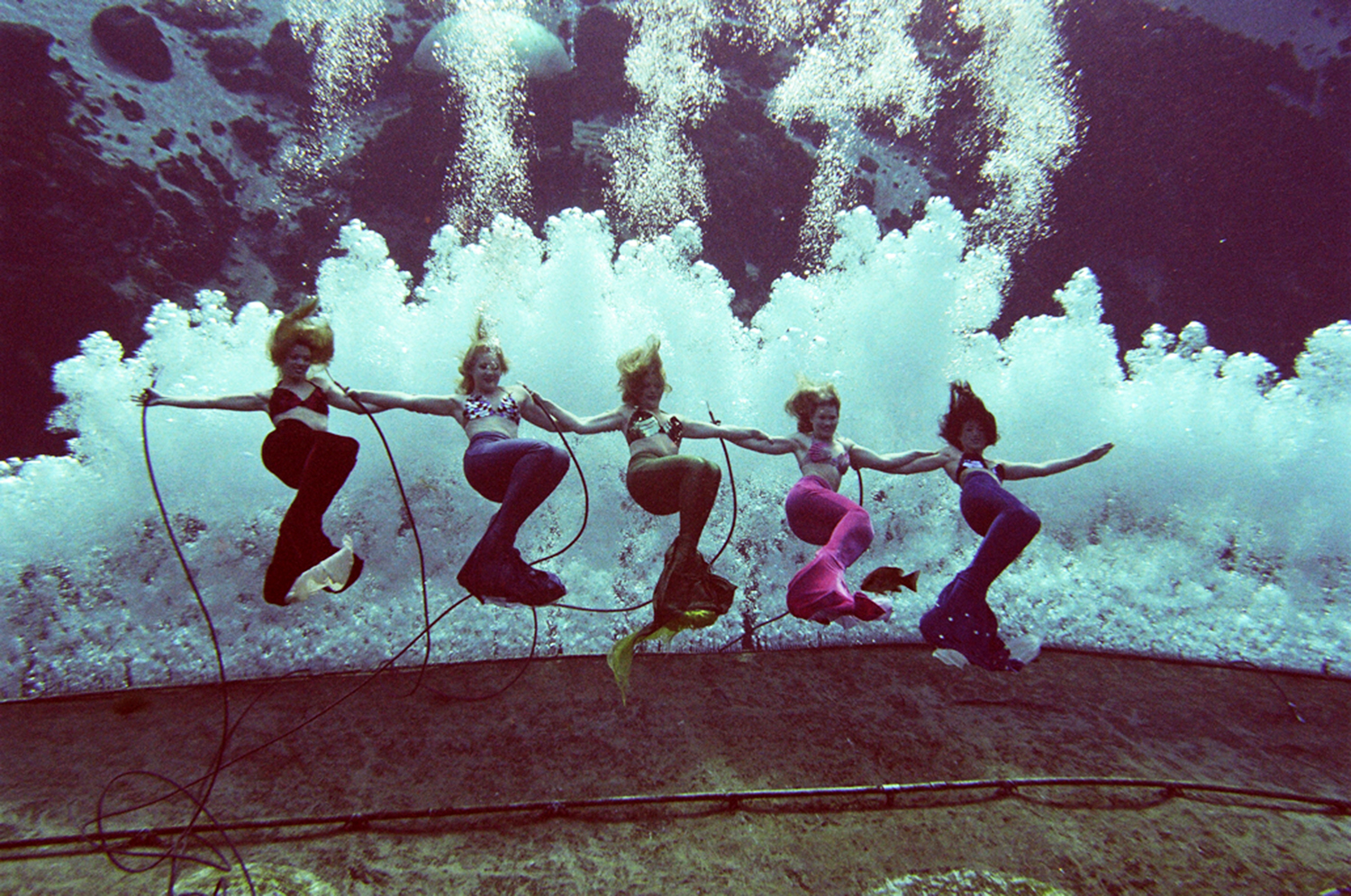 The Little Mermaids of Weeki Wachee Springs by Lucien Smith, Florida ...