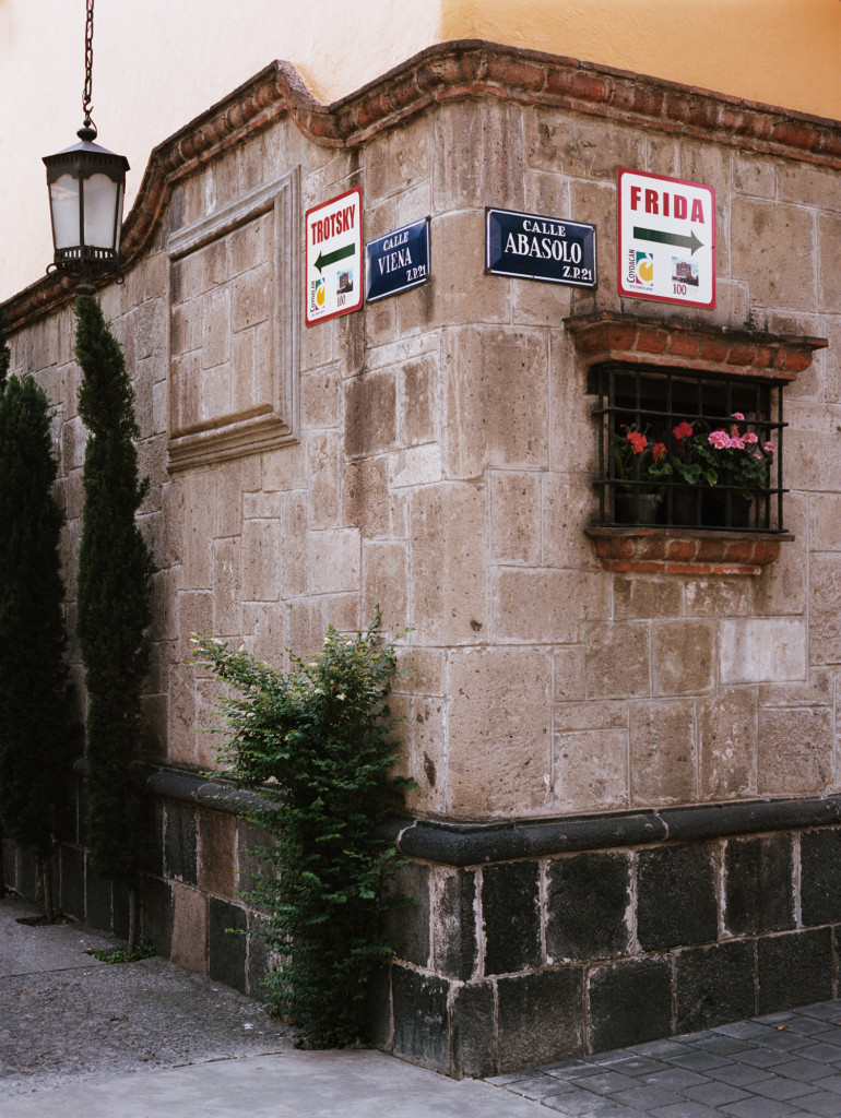 Frida & Trotsky reportage - purple MAGAZINE