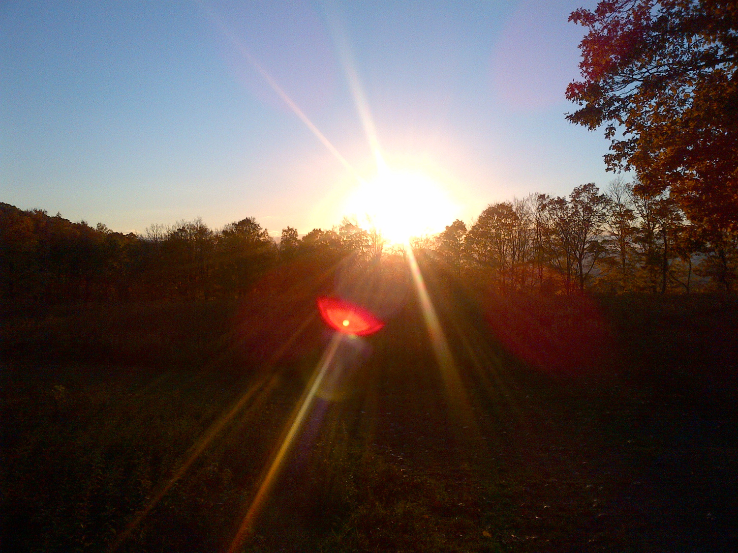 A warm haze on an autumnal walk in Catskills, New York. Photo ...