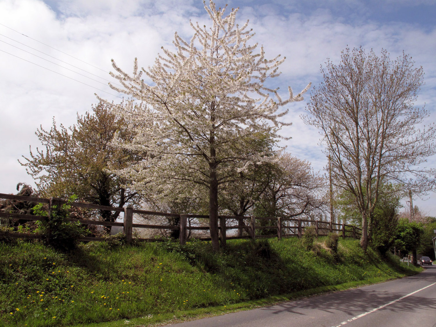 Spring in Normandy, France. Photo Giasco Bertoli - purple TRAVEL
