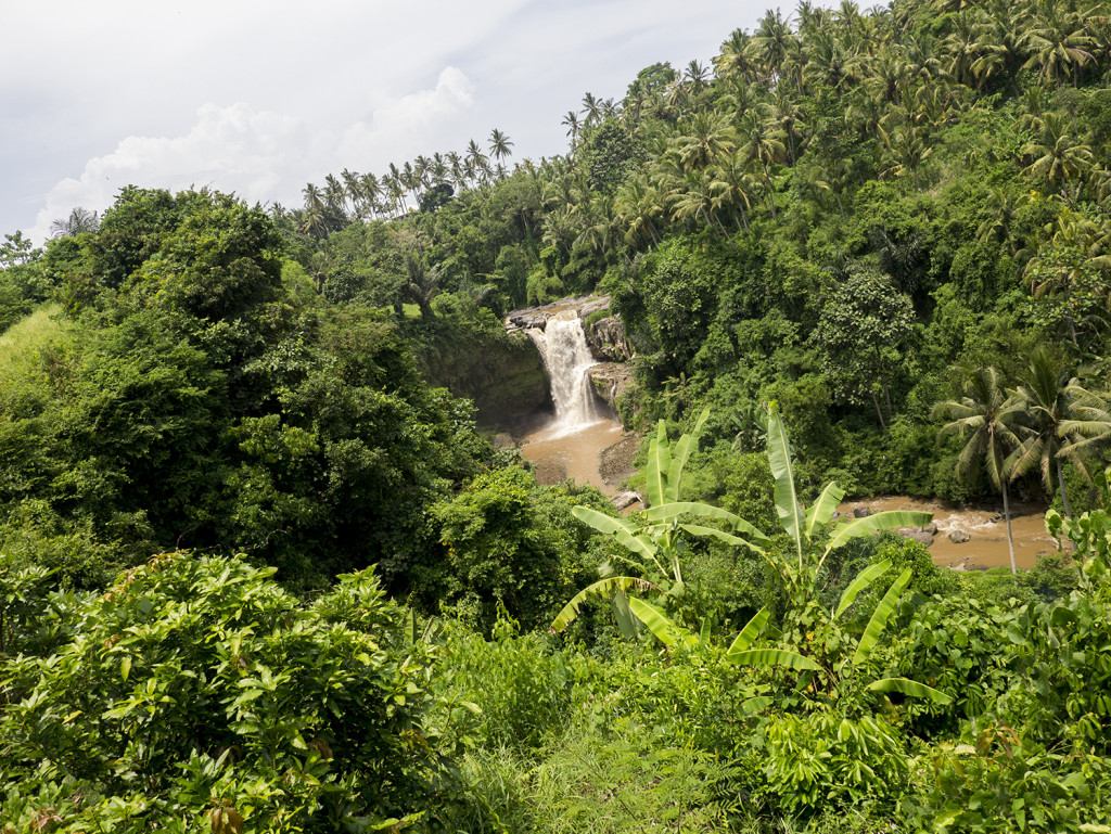 A visit to Bali - purple TRAVEL