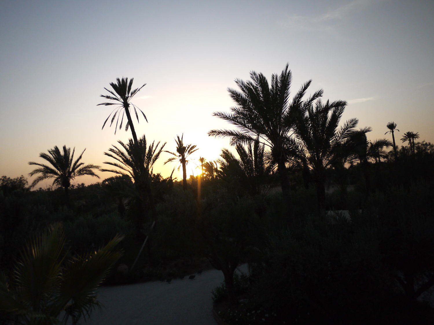 Sunset in Marrakech. Photo Caroline Gaimari - purple TRAVEL