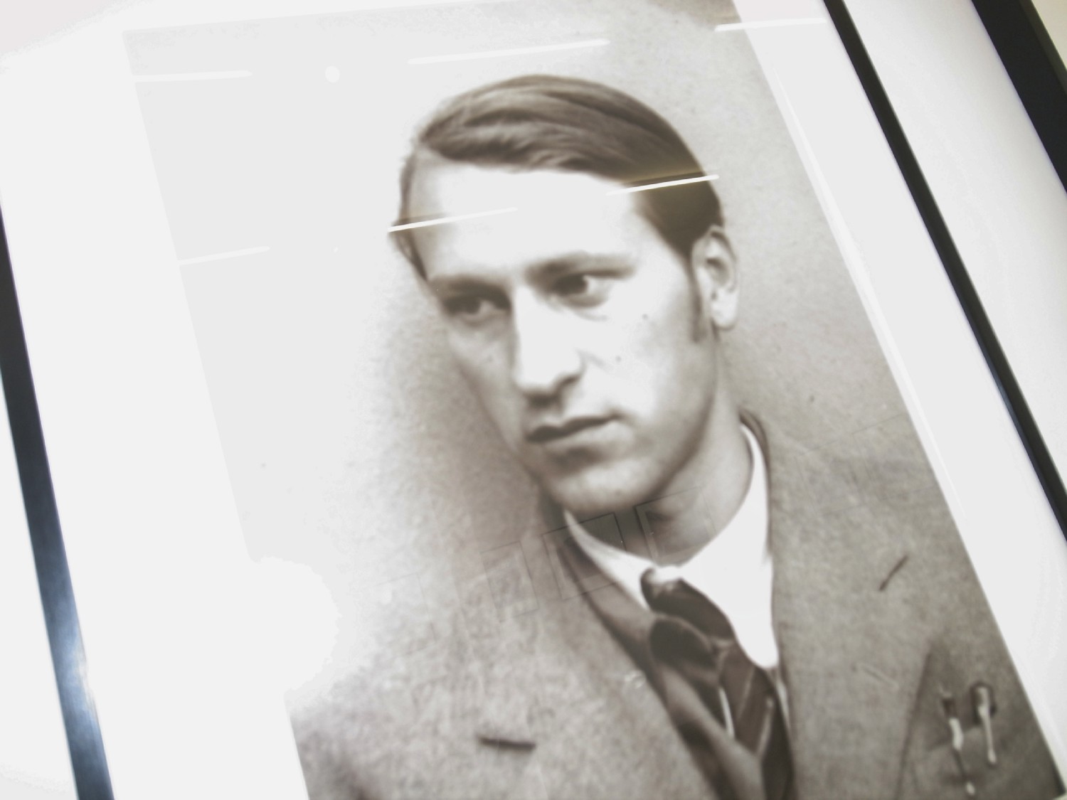 Jonas Mekas at James Fuentes, New York - purple ART