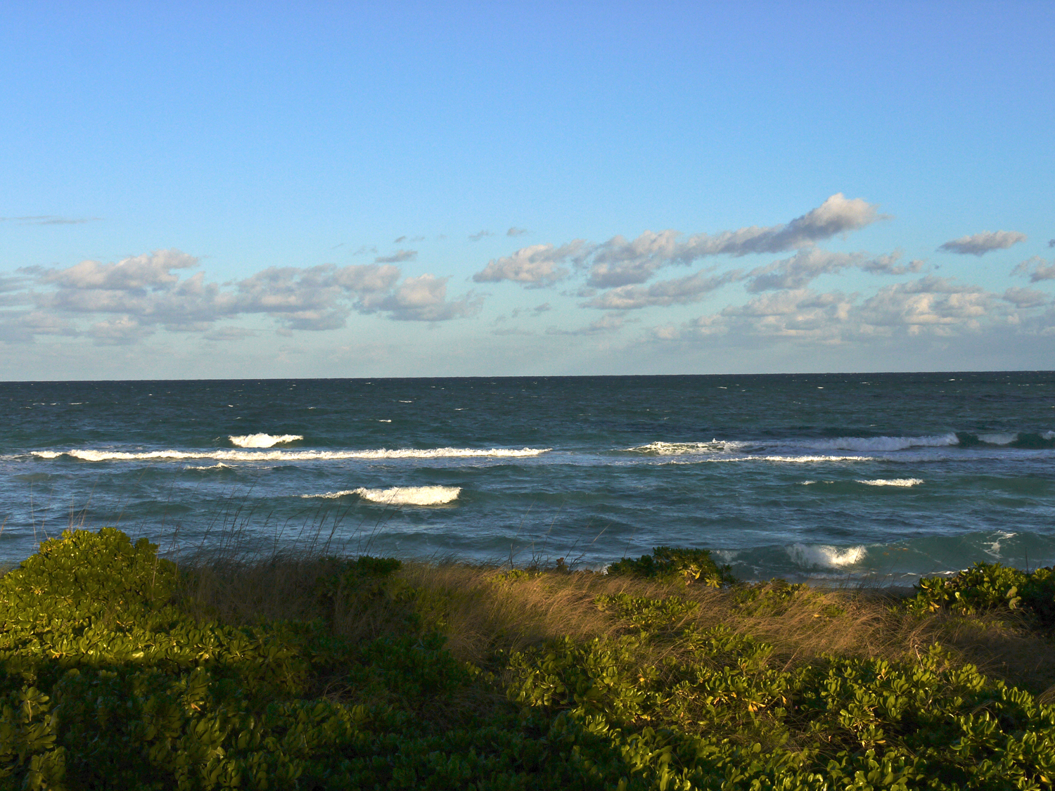 The beach behind the Delano Hotel, Miami Beach. Photo Gavin Doyle ...
