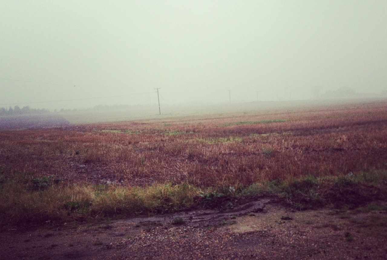 A beautifully bleak Autumn morning, at home in the Essex countryside ...