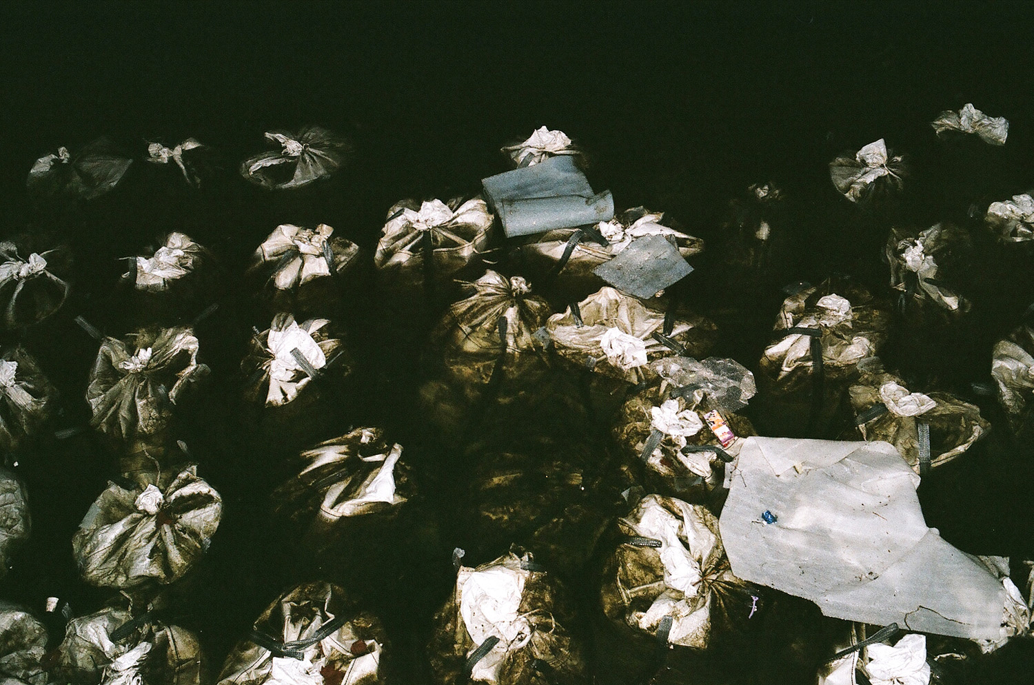 Dirty bags bathing in the Spree, Berlin. Photo Maxime Ballesteros ...