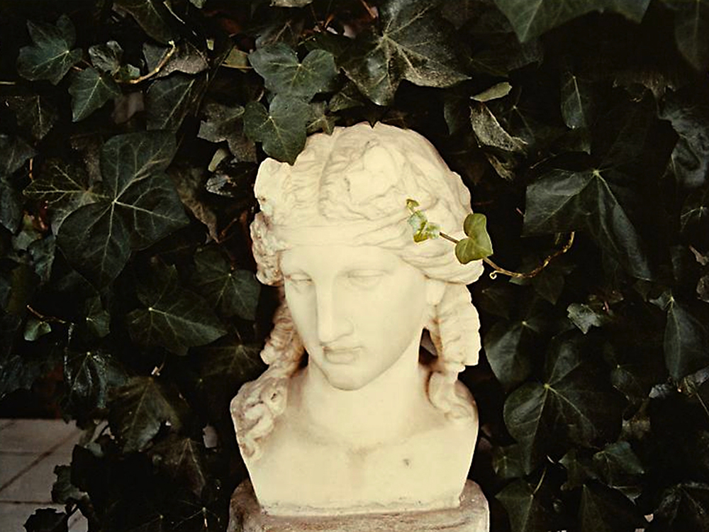 La Carte d'Apres Nature curated by Thomas Demand, Matthew Marks gallery ...