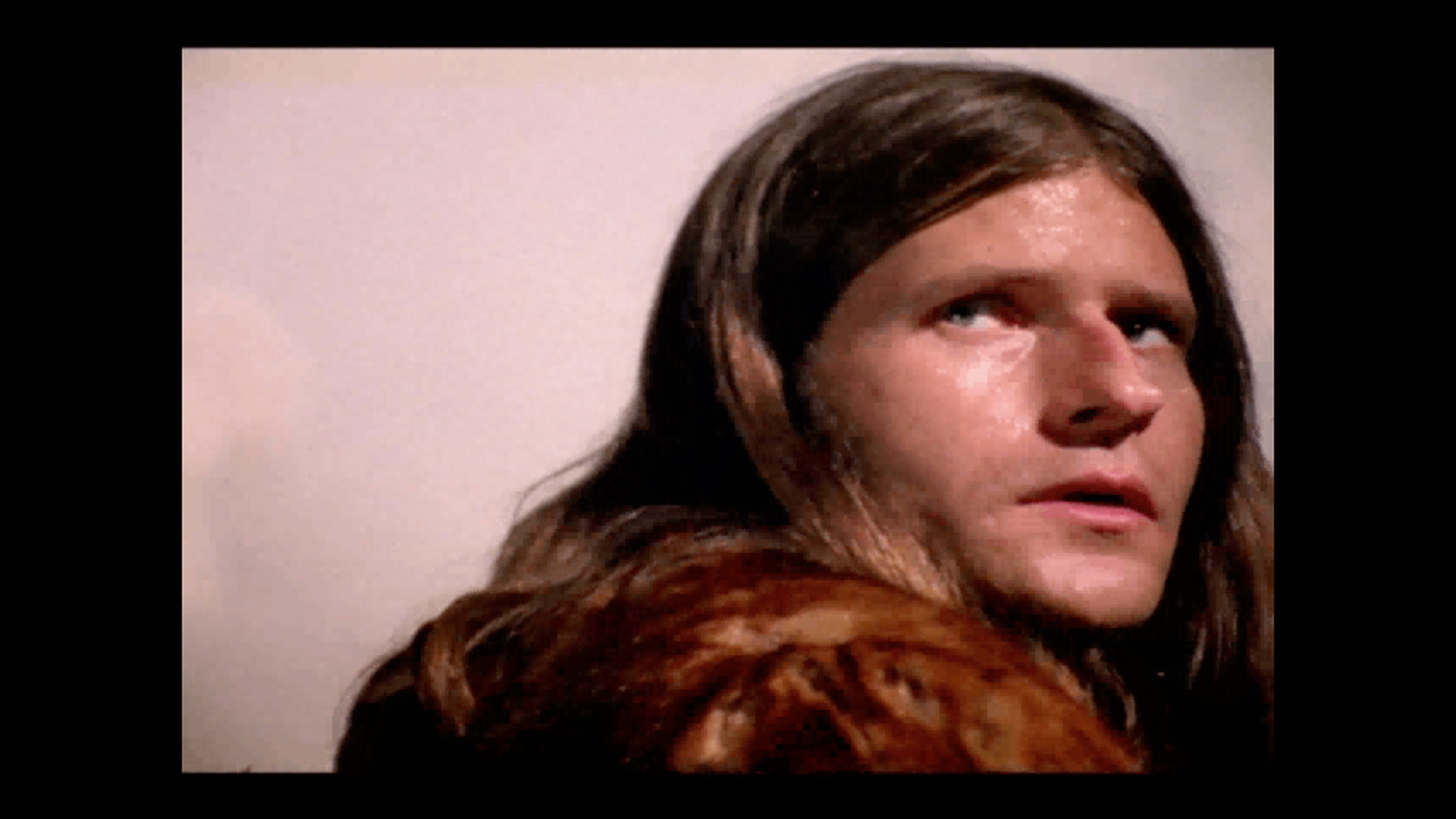 What Is It? Trailer - purple TELEVISION