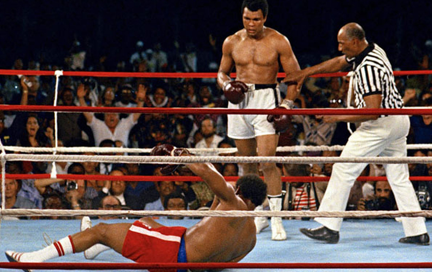 Ari Marcopuolos' purple Television Takeover Day 3 / George Foreman vs ...