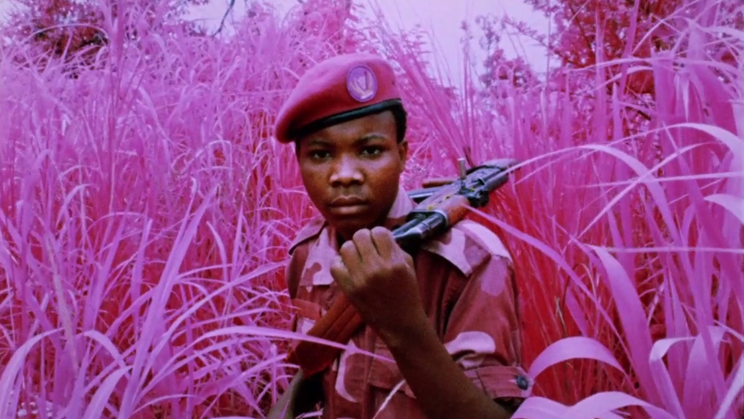 Richard Mosse / The Enclave - purple TELEVISION