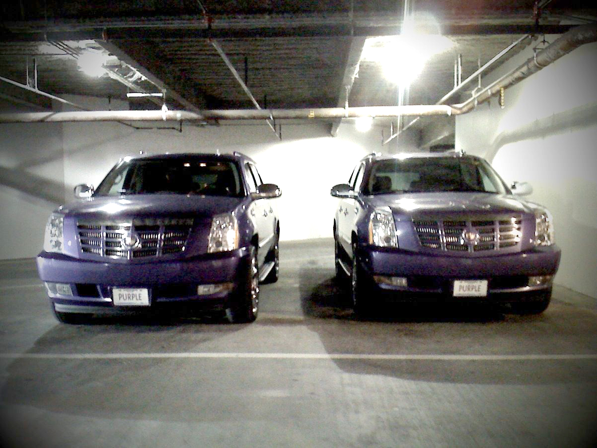 Our hotel’s fleet of purple Cadillac Escalades, used to transport ...