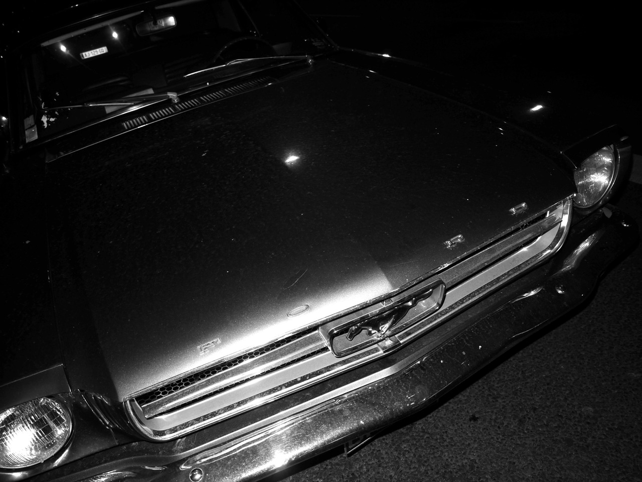 A Ford Mustang in front of Fresh Hell, a group show at... - purple DIARY