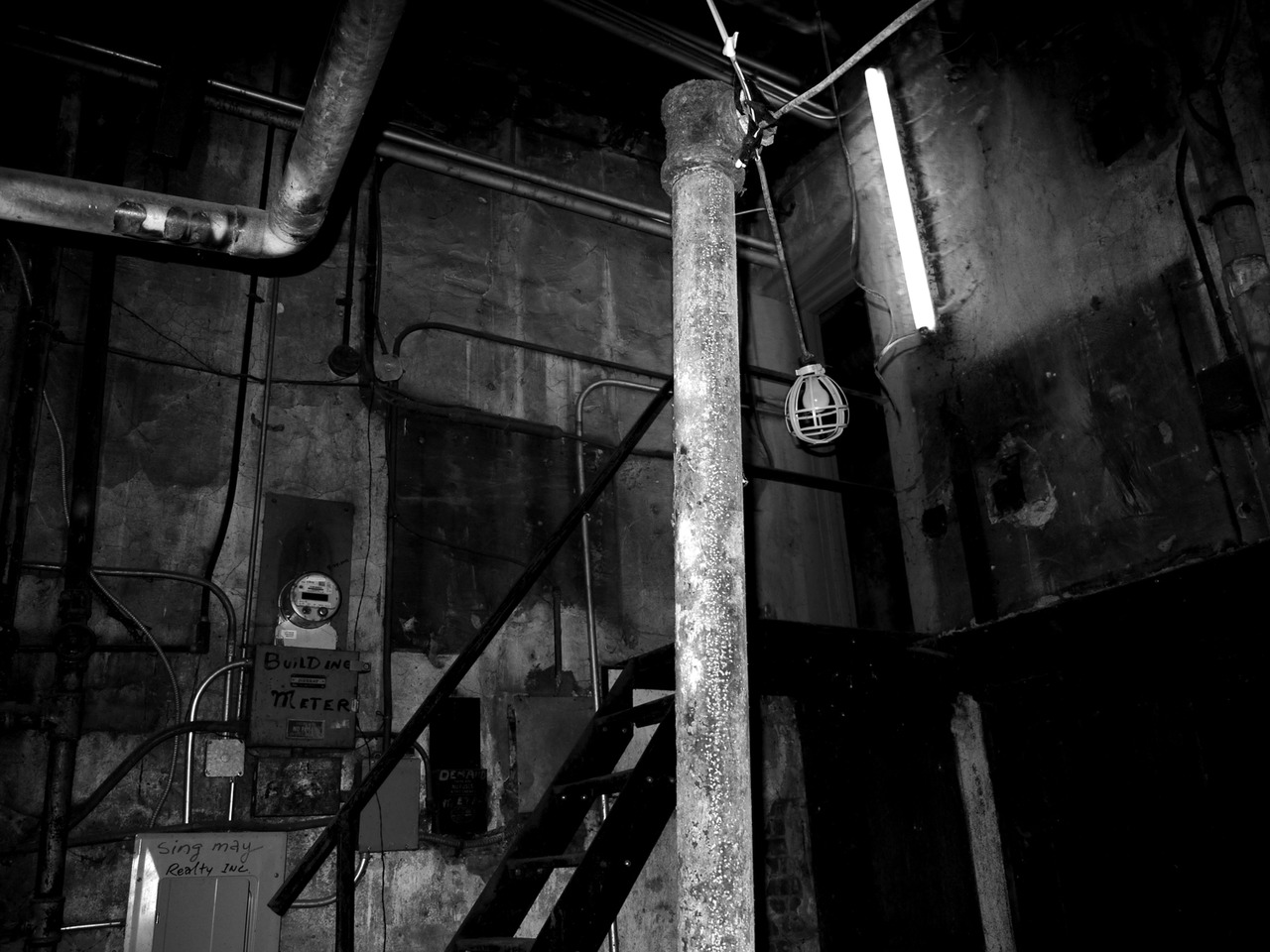 Basement, New York. Photo Olivier Zahm - purple NIGHT