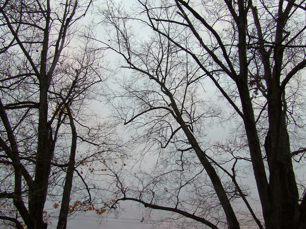 A cold Fall day, West Virginia. Photo Christopher Lusher - purple TRAVEL