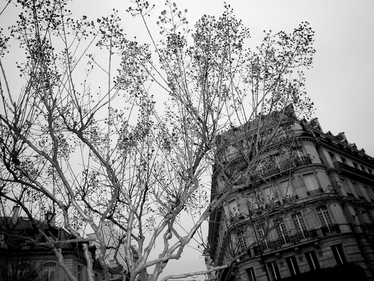 Sad sunday in Paris. Photo Olivier Zahm - purple DIARY