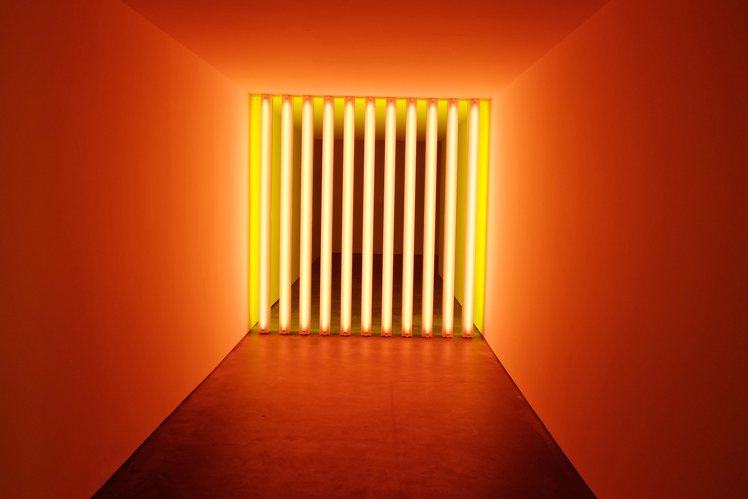 Dan Flavin "Corners, Barriers and Corridors" at David Zwirner, New York ...