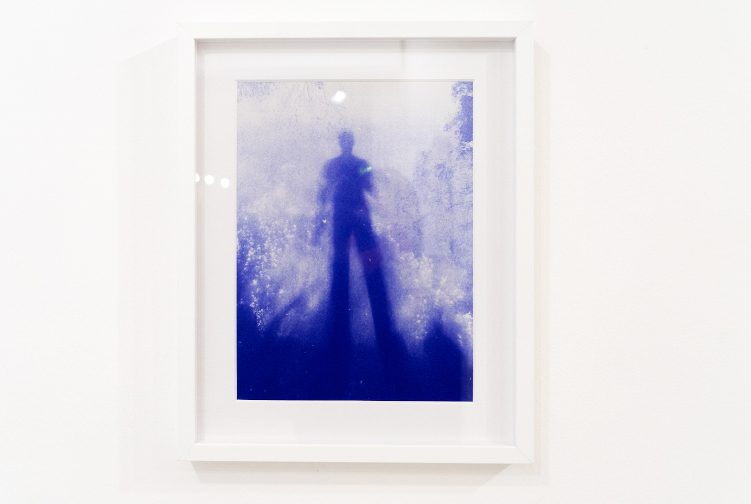 Tim Barber "Blues" at Librairie Galerie du Jour agnès b, Paris - purple ART