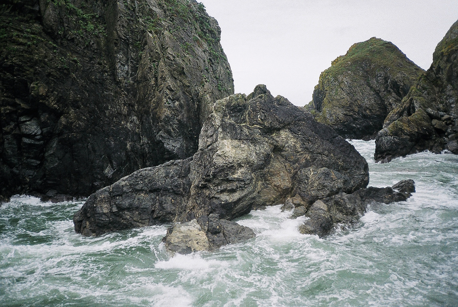 A trip to the The Lizard Peninsula, Cornwall - purple TRAVEL