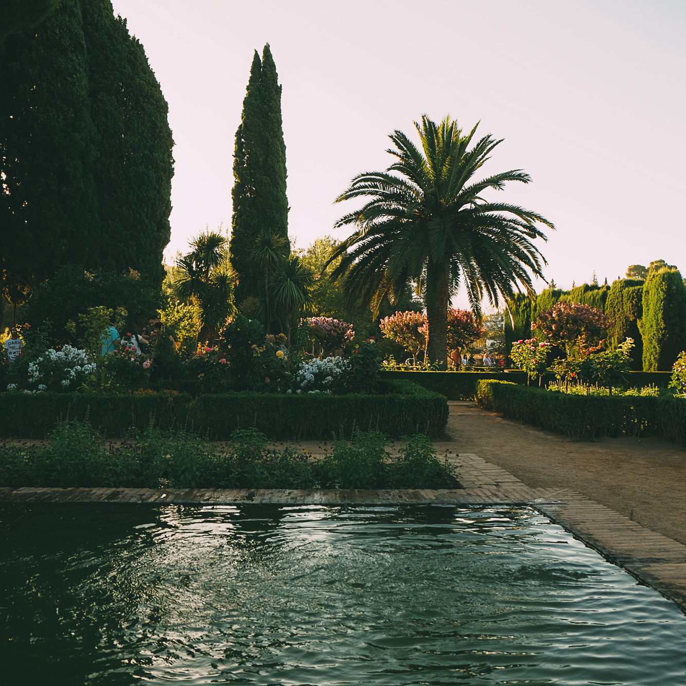 A visit to the Generalife Palace, Granada - purple TRAVEL