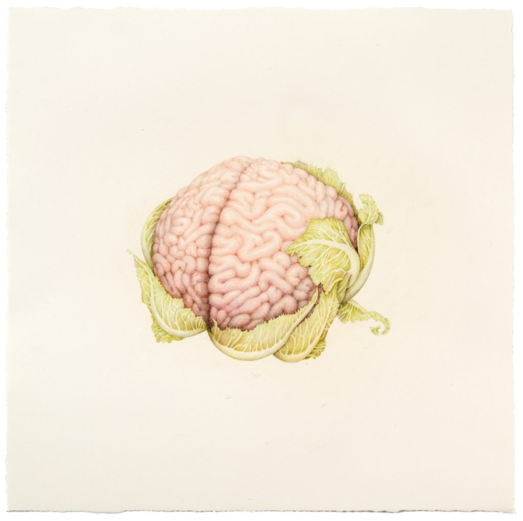 plants know - purple MAGAZINE