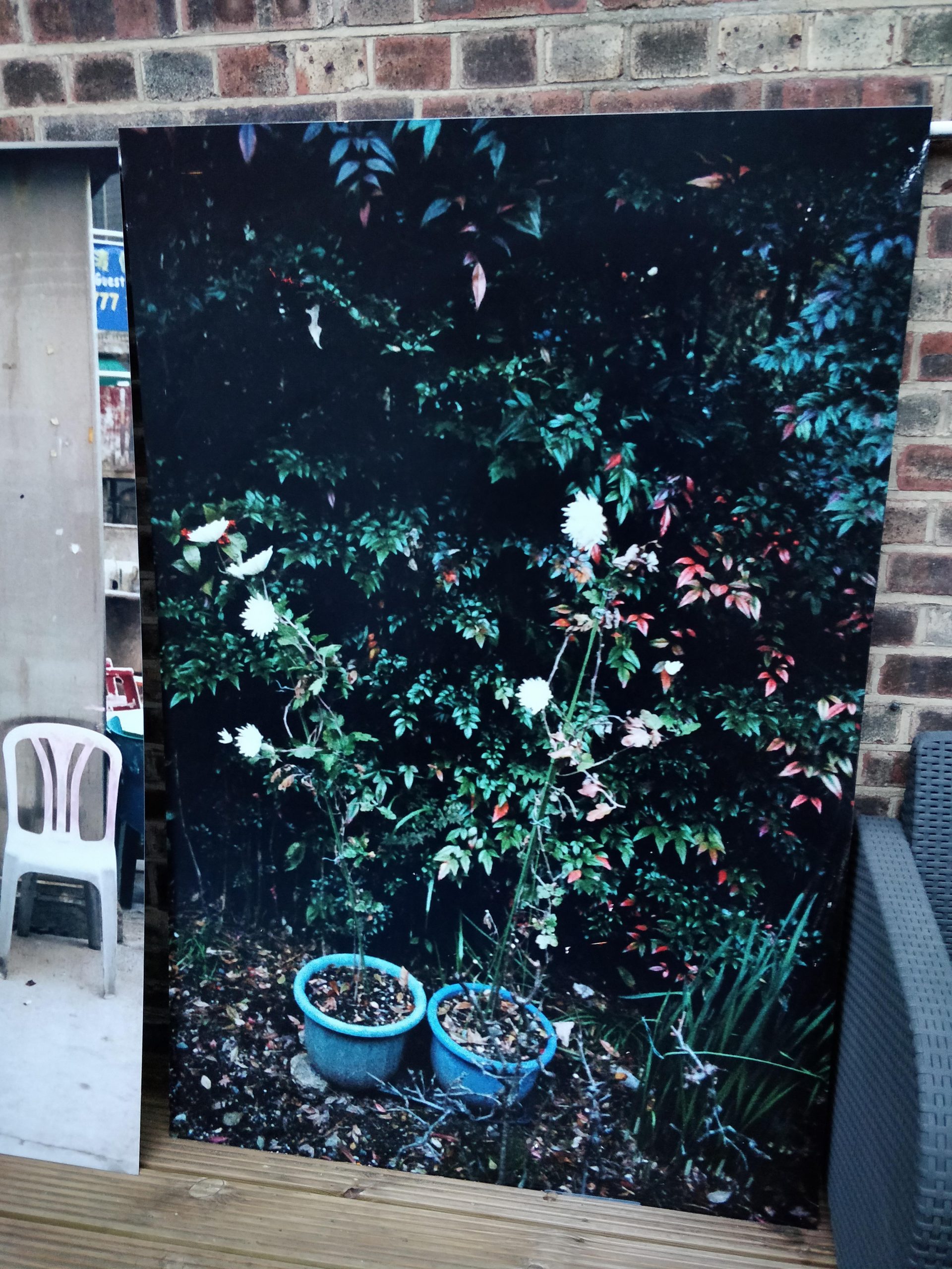 "The Warm Parts" by Jeremy Everett at Webber Gallery, London - purple ART