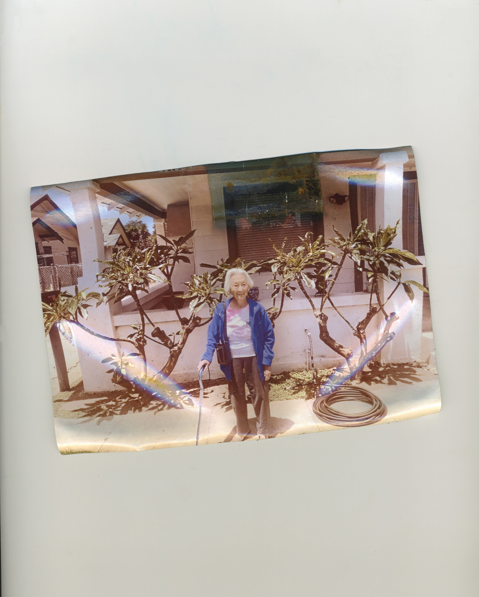 david horvitz - purple MAGAZINE