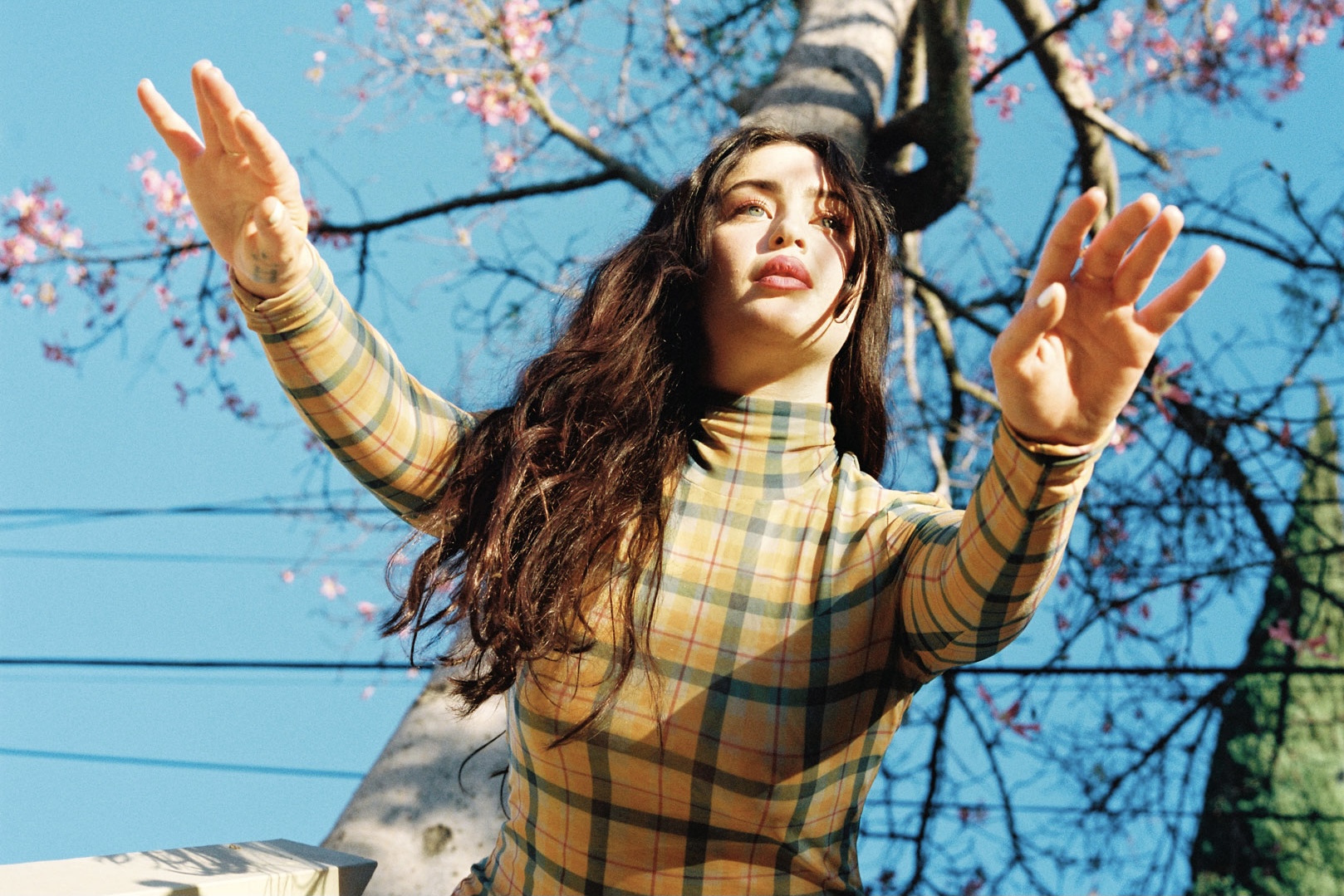 ariana papademetropoulos - purple MAGAZINE