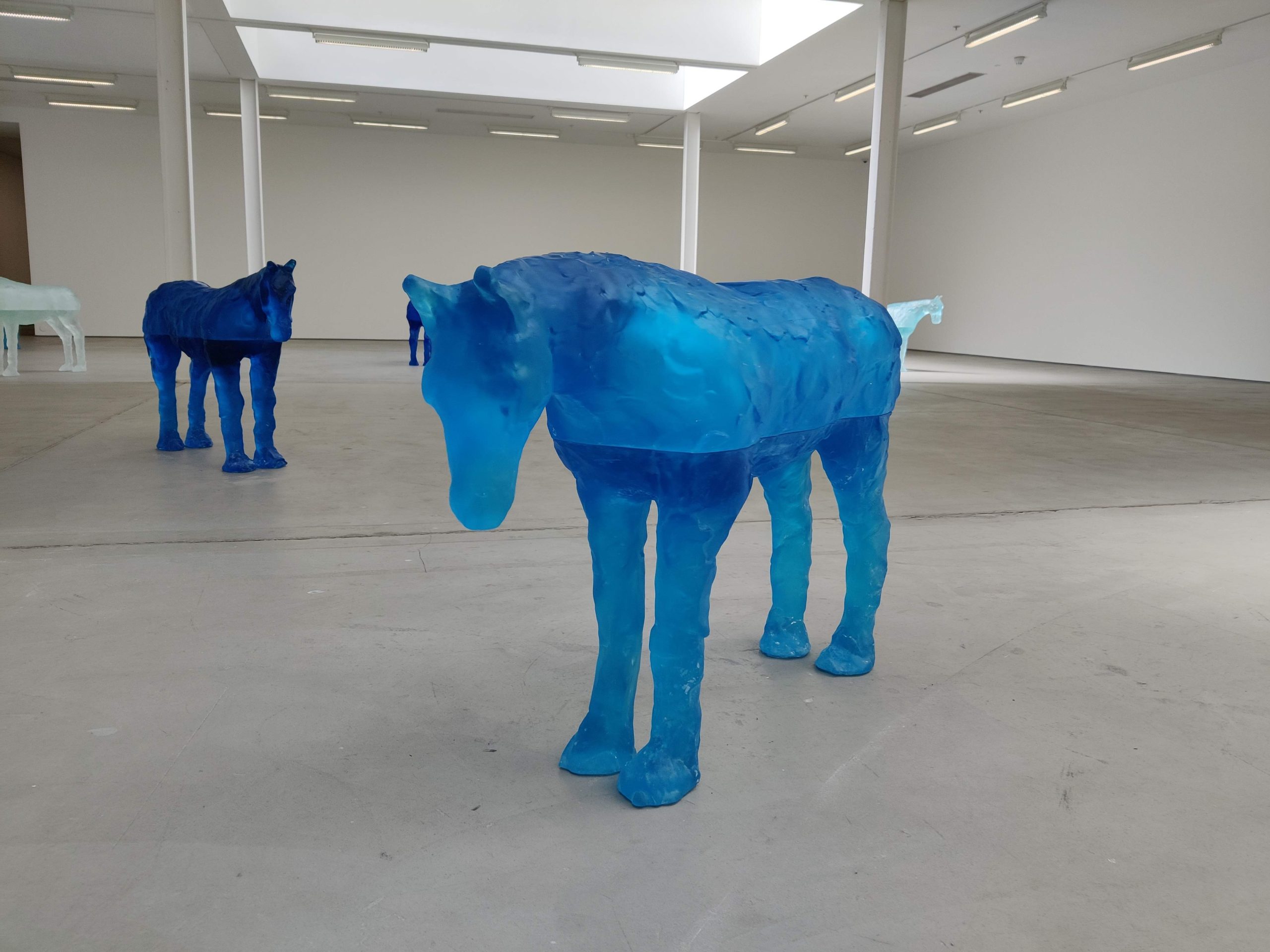 "a sky . a sea . distant mountains . horses . spring ." an exhibition ...