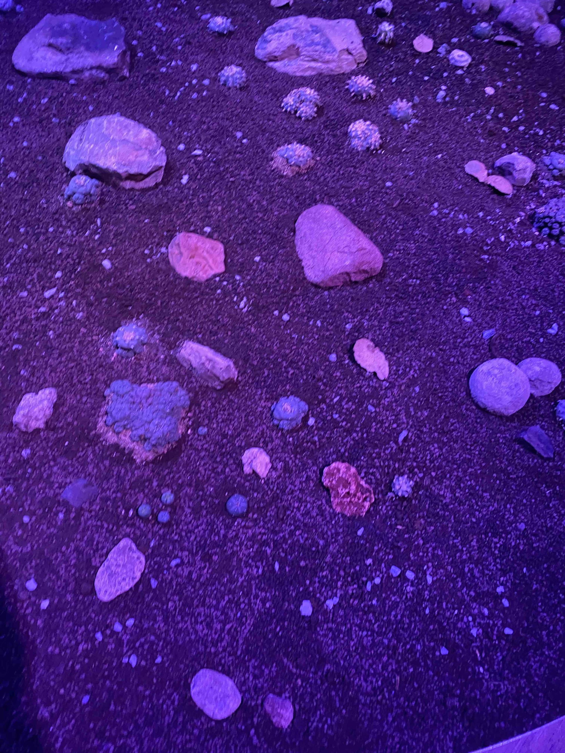 "Evidence" Soundwalk Collective & Patti Smith - purple ART