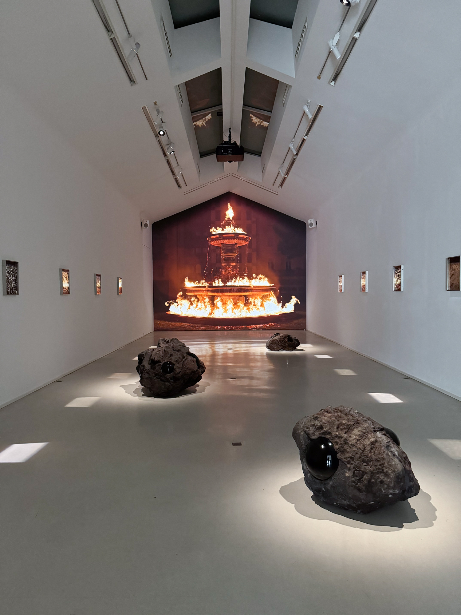 “Panchronic Gardens” Exhibition by Julian Charrière at Perrotin Paris ...