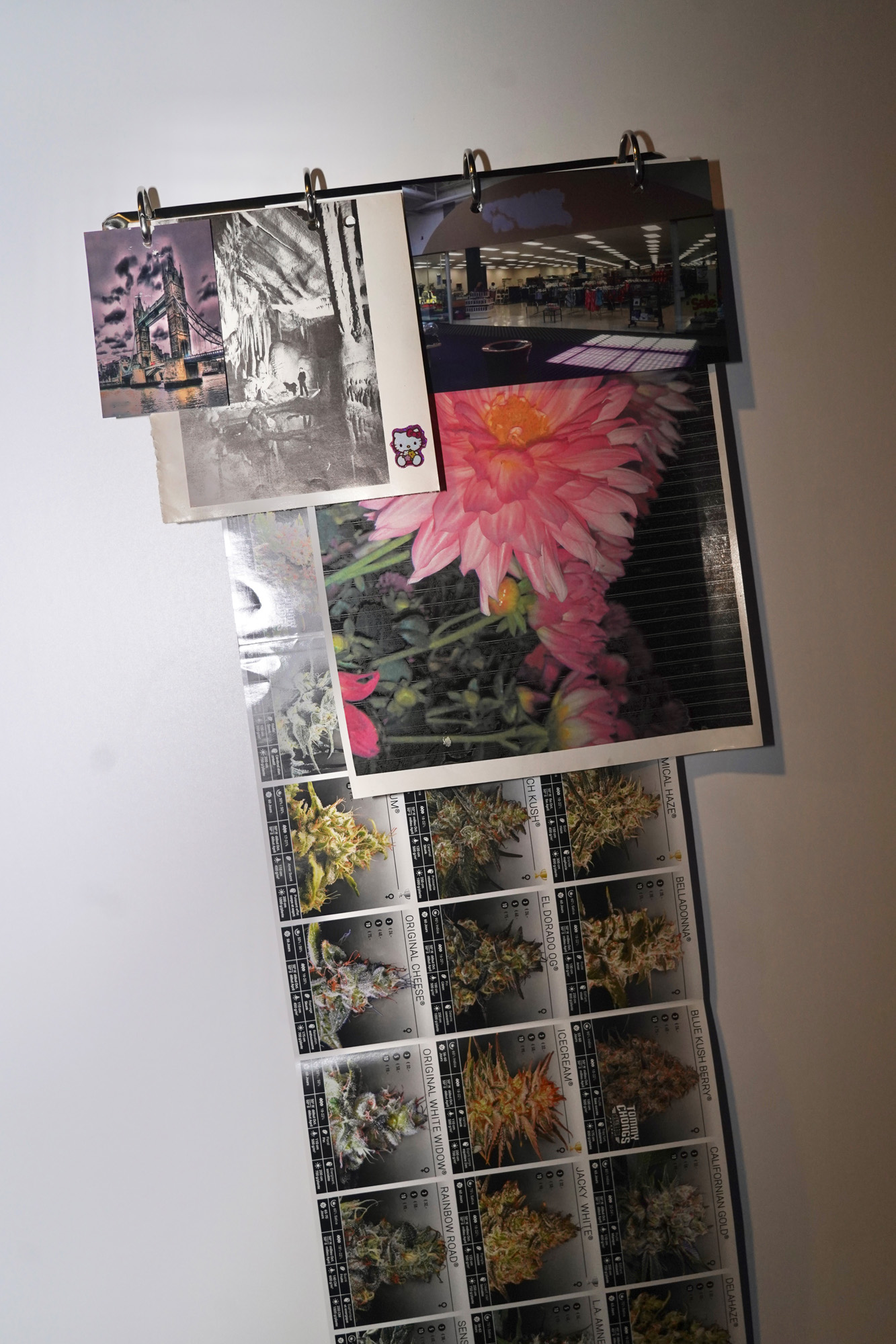 Opening night of the “DAISIES” group show, curated by Paige Silveria ...